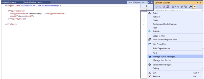 Wpf Entity Framework Core Mvvm Project Step By Step Tutusfunny